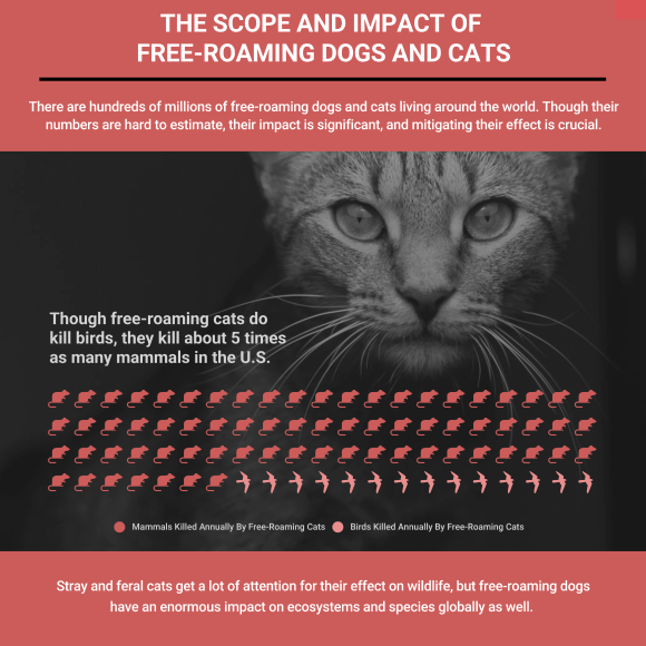 Zonas Nielsen por Área by Hugo Legorreta - Infogram