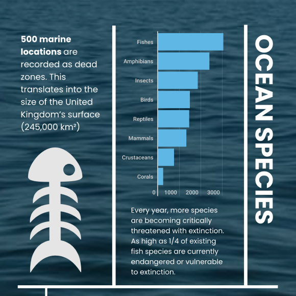 Zonas Nielsen por Área by Hugo Legorreta - Infogram